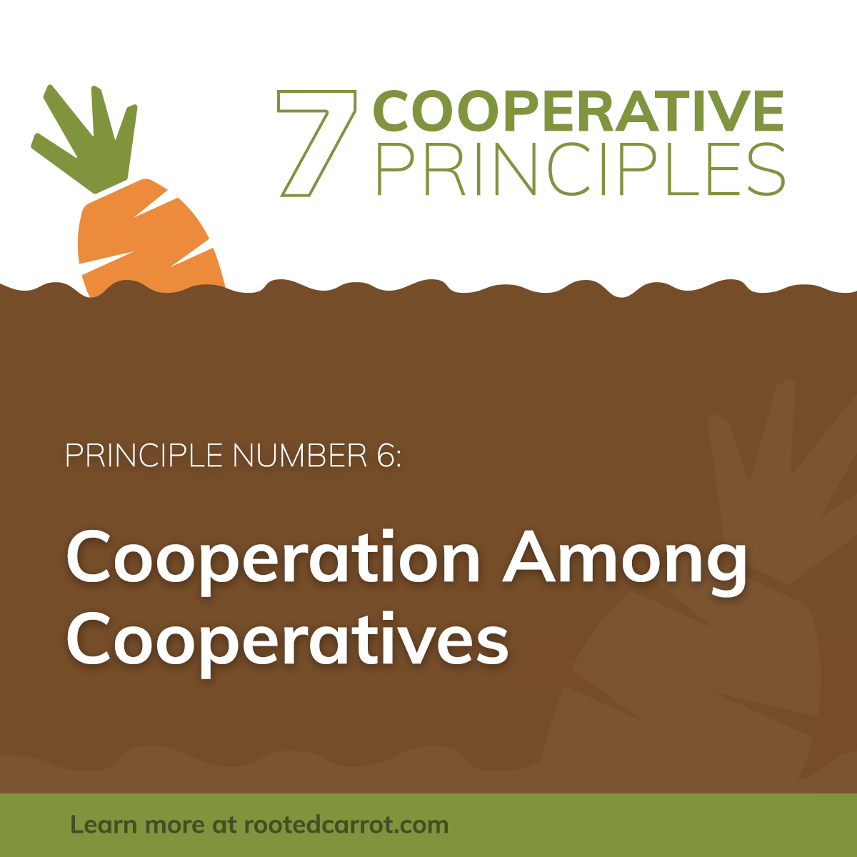 Principle #6: Cooperation Among Cooperatives – Rooted Carrot Co-op