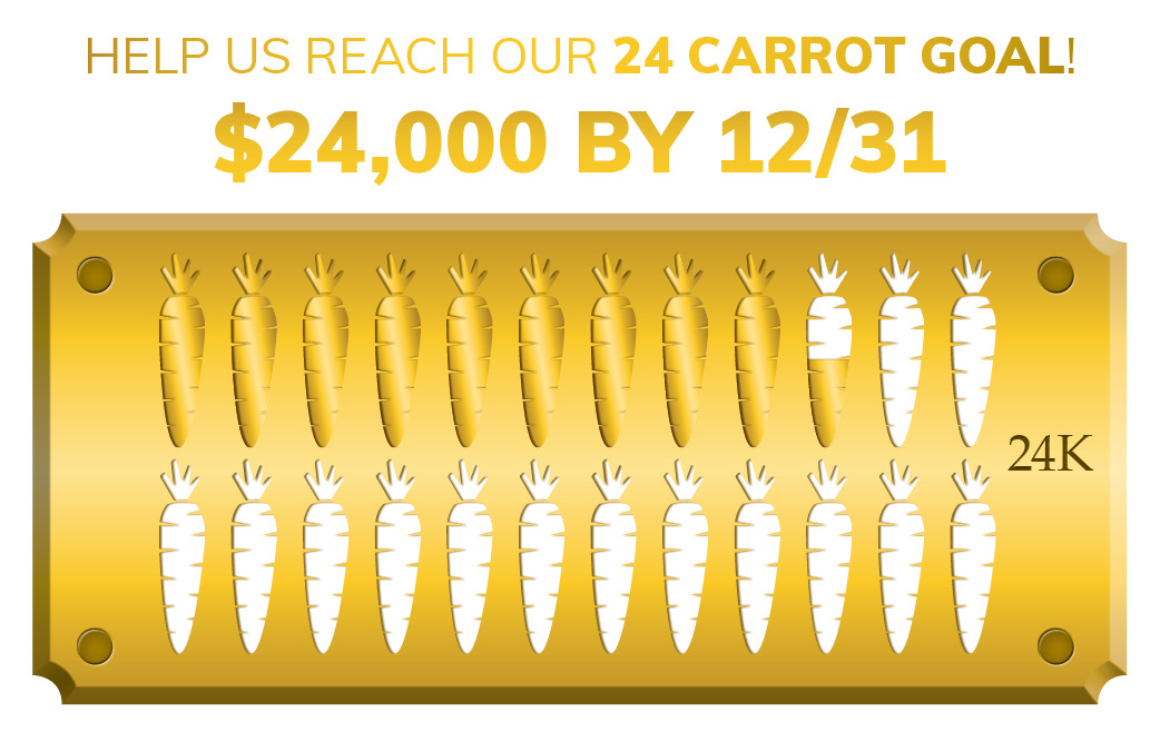 24 Carrot Goal – Rooted Carrot Co-op