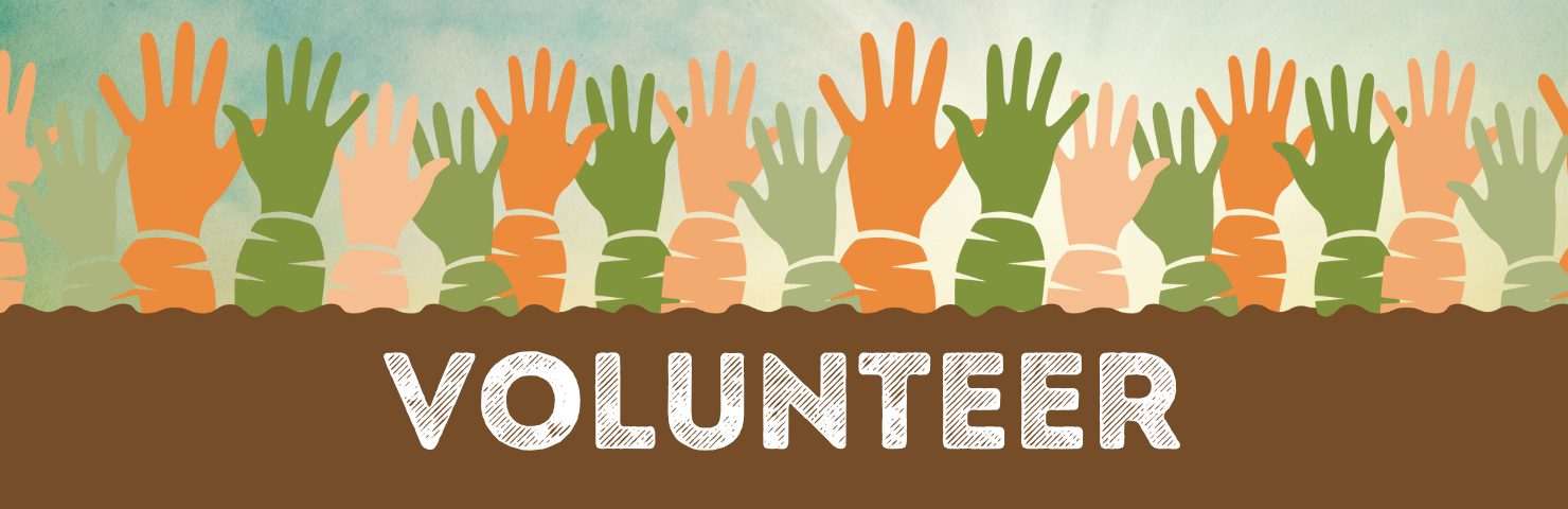 WANTED: Volunteers to help us grow! – Rooted Carrot Co-op