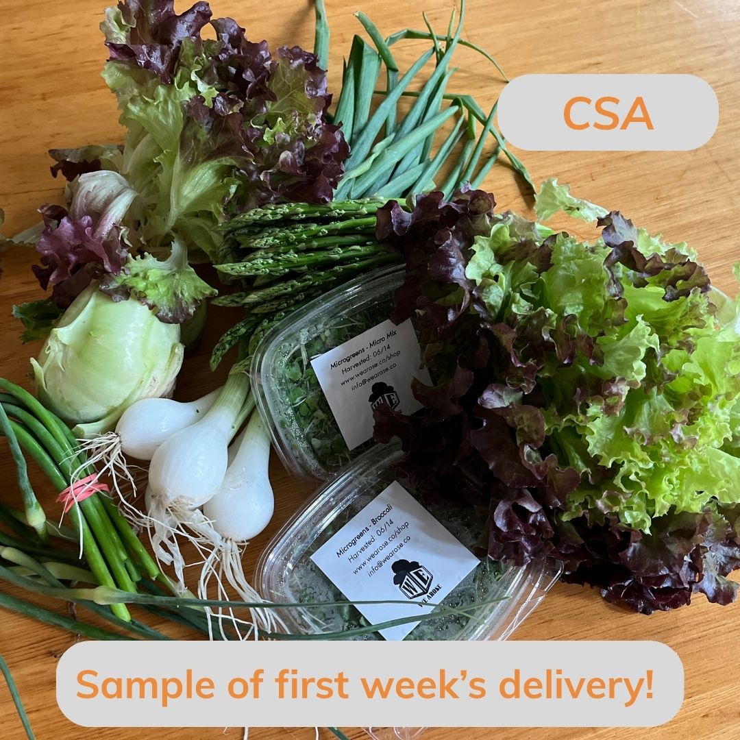 CSA Partnership with We Arose Supports Local Growers – Rooted Carrot Co-op